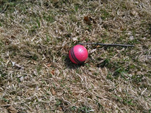 Eltono – Public Space Artist